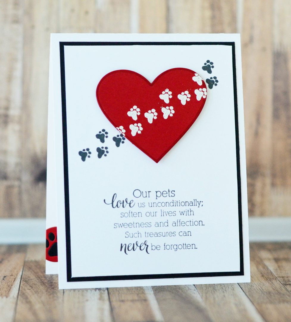 TAYLOR_CareComfortPets_WED1 | Taylored Expressions Blog